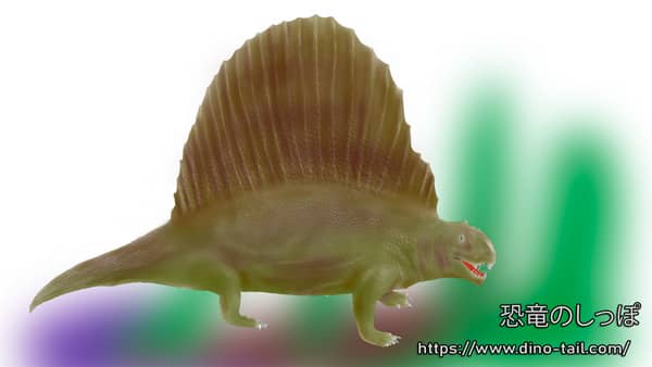 Dimetrodon | Dino Tail - Paleontology Encyclopedia