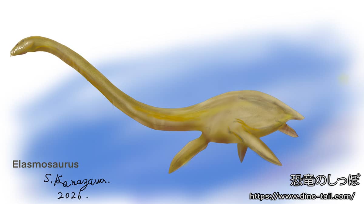 Elasmosaurus (Plesiosaur) | Dino Tail - Paleontology Encyclopedia