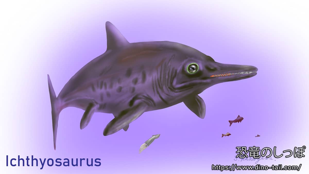 Ichthyosaurus (Ichthyosaur) | Dino Tail - Paleontology Encyclopedia