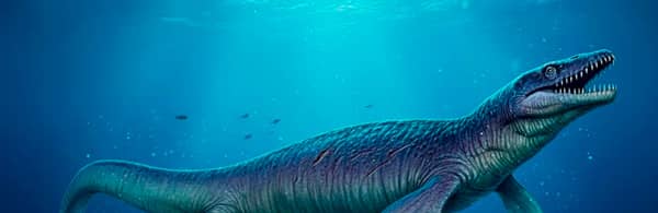 Mosasaurus | Dino Tail - Paleontology Encyclopedia
