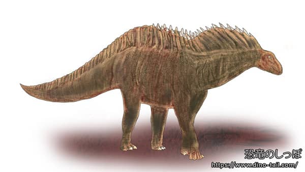 Amargasaurus Gallery | Dino Tail - Encyclopedia