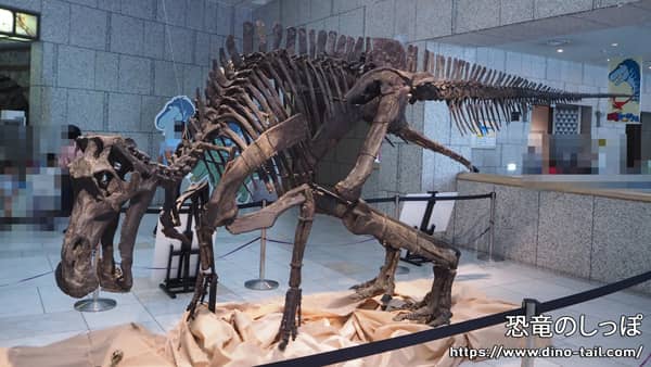 Maiasaura | Dino Tail - Encyclopedia