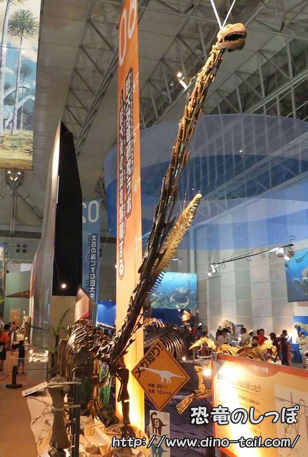 Mamenchisaurus | Dino Tail - Encyclopedia