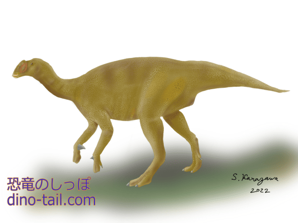 Muttaburrasaurus | Dino Tail - Encyclopedia