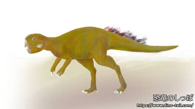 Psittacosaurus | Dino Tail - Encyclopedia