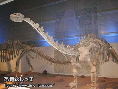 Shunosaurus | Dino Tail - Encyclopedia