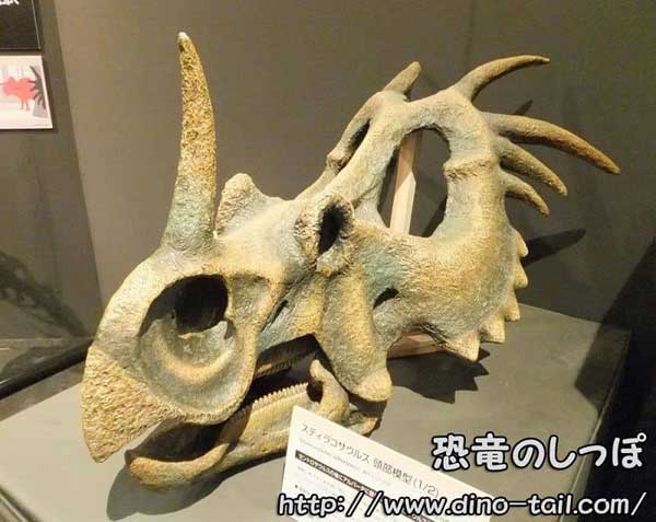 Styracosaurus | Dino Tail - Encyclopedia