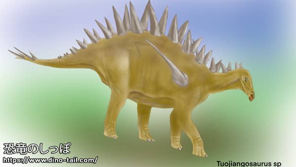 Tuojiangosaurus | Dino Tail - Encyclopedia