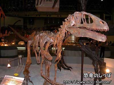 Utahraptor | Dino Tail - Encyclopedia